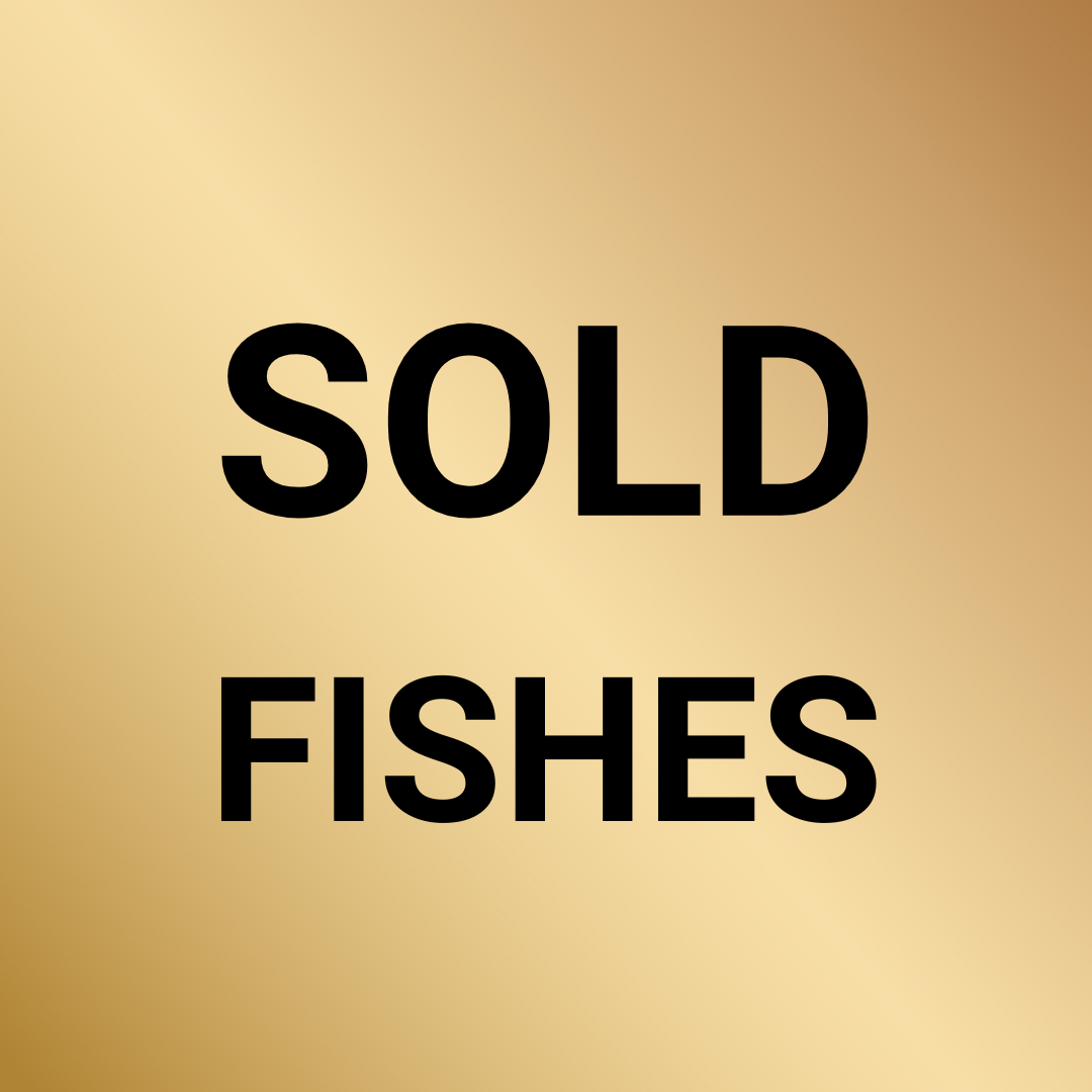 Just Got New Owner (Sold Fishes) – Page 133 – Jimmy Goldfish