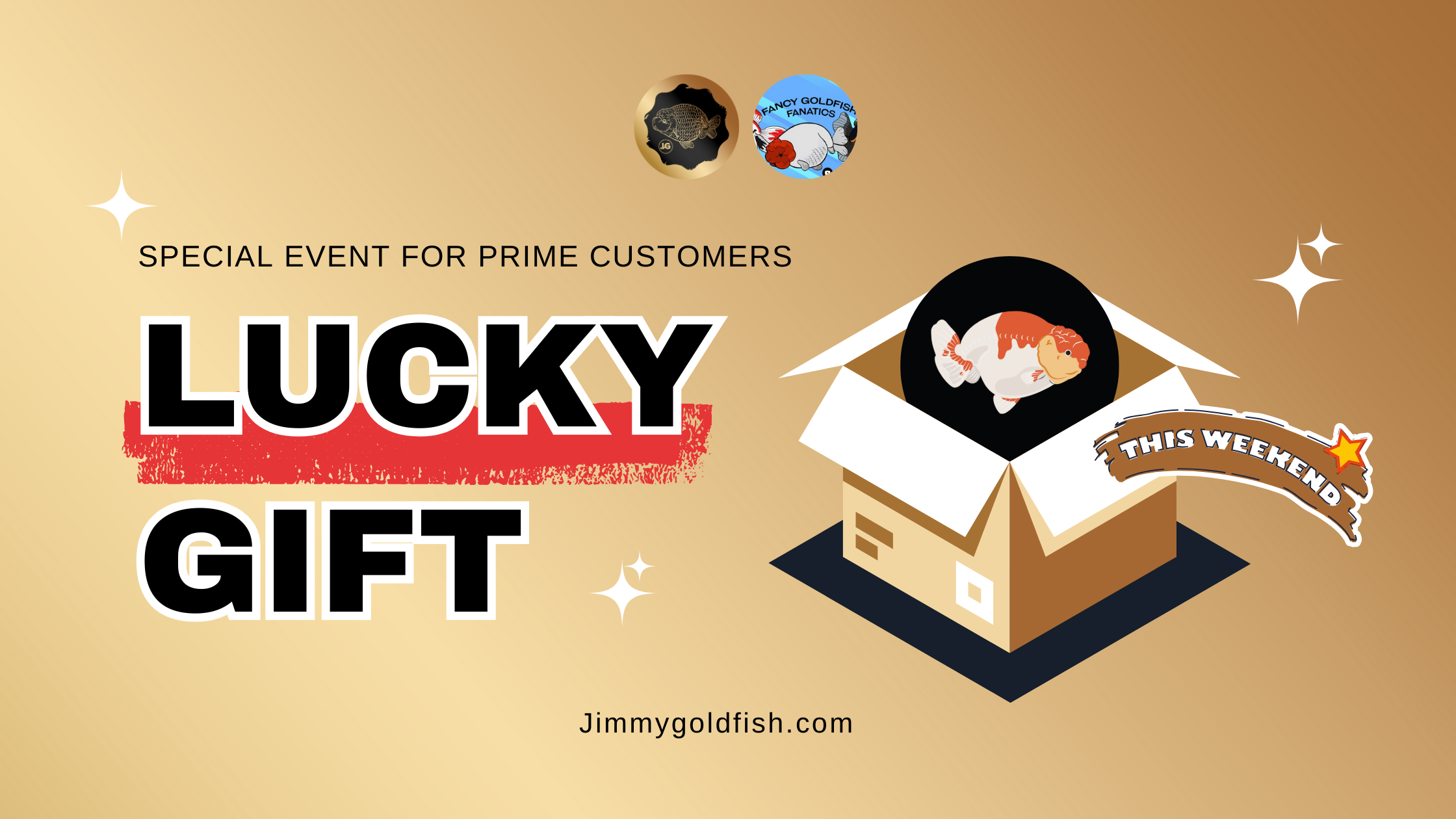 Lucky Gift Event – Exclusive for Jimmy Prime Customers! – Jimmy Goldfish