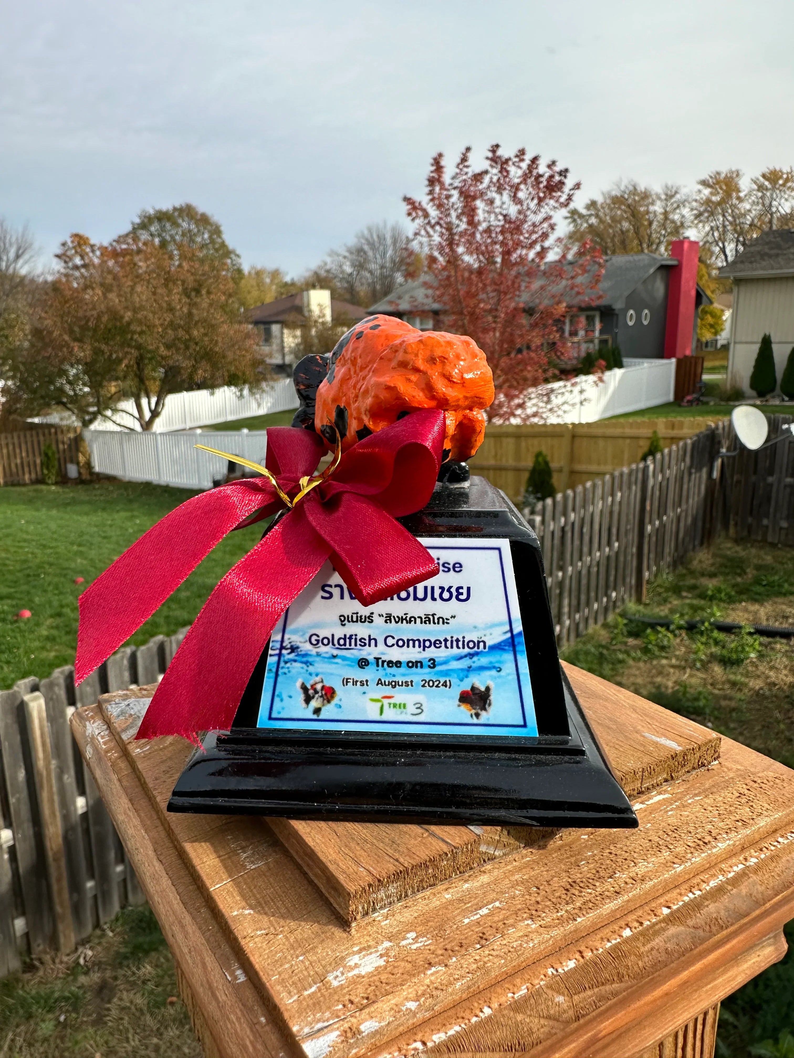 4th Prize Trophy . – Jimmy Goldfish